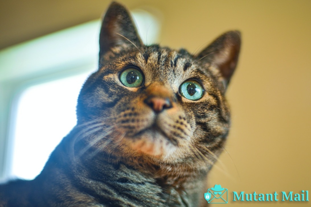 Smtp Protocols Explained: Understanding The Inner Workings Of Email ...