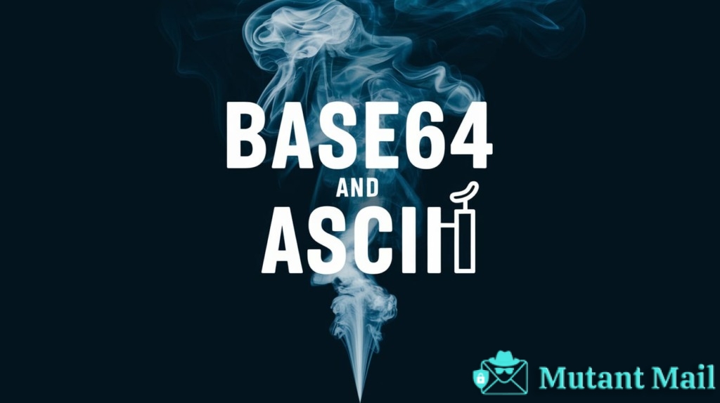 Demystifying Base64 vs ASCII: A Complete Encoding Comparison - Mutant Mail