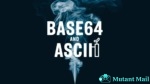 Demystifying Base64 vs ASCII: A Complete Encoding Comparison - Mutant Mail