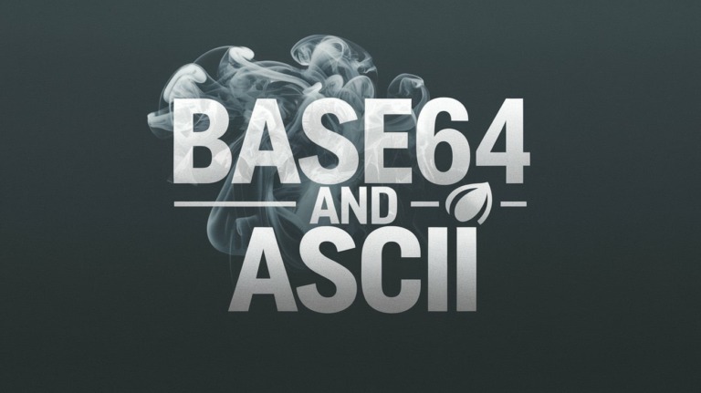Demystifying Base64 vs ASCII: A Complete Encoding Comparison - Mutant Mail