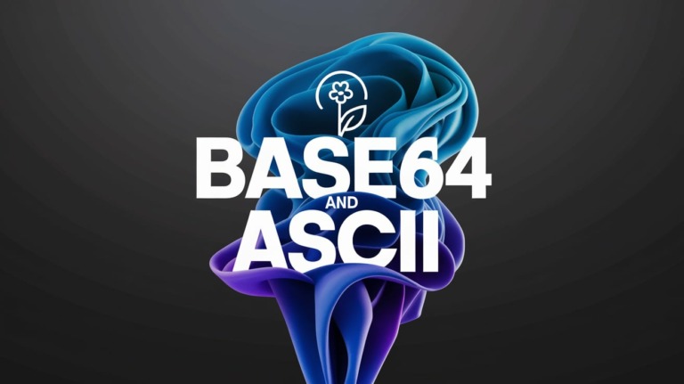 Demystifying Base64 vs ASCII: A Complete Encoding Comparison - Mutant Mail